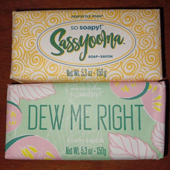 Perfectly Posh | Bath & Body | Perfectly Posh Big Bath Bars | Poshmark